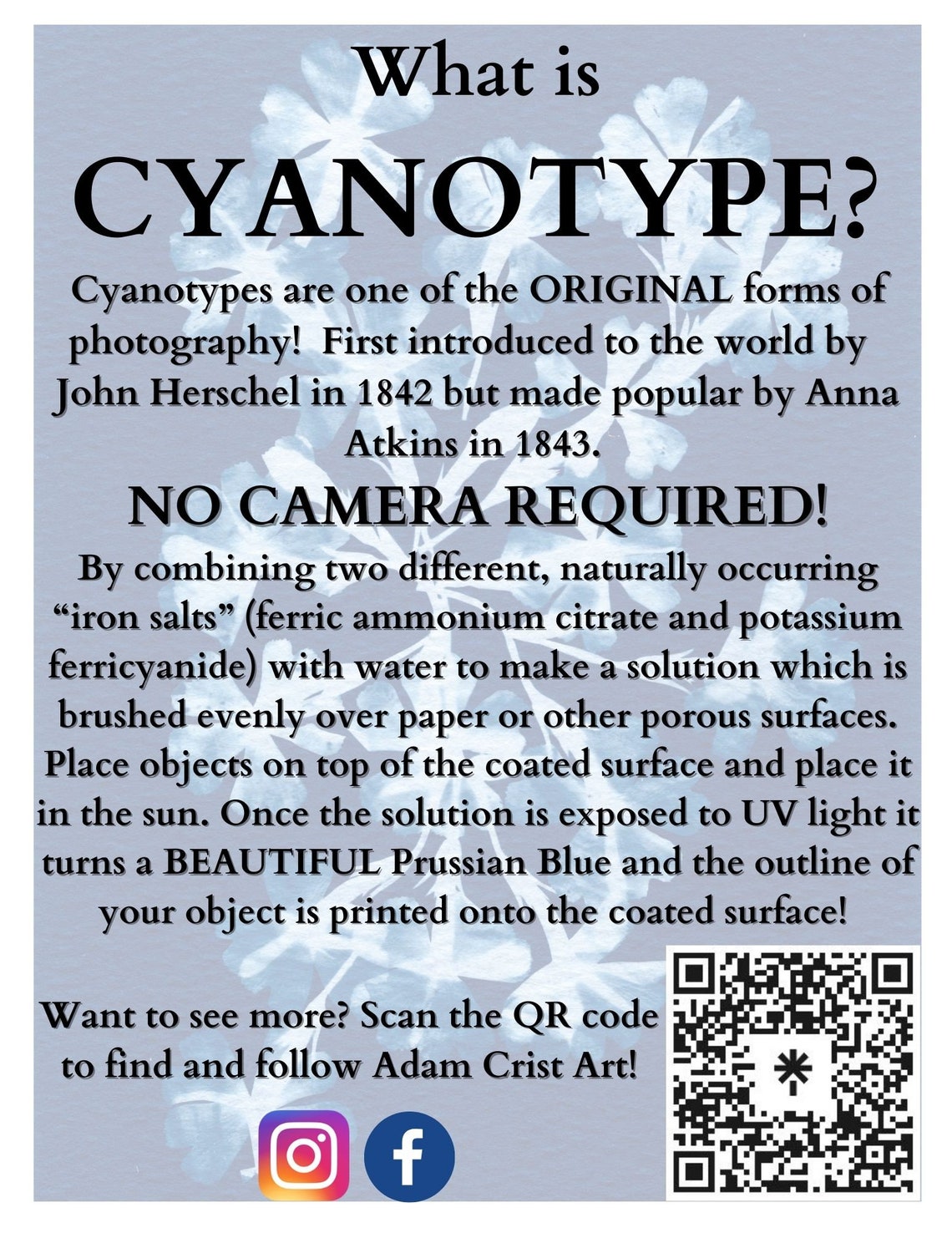 Fine Art Print, Cyanotype, Cyanotype Print, Botanical Art, Art, Nature ...