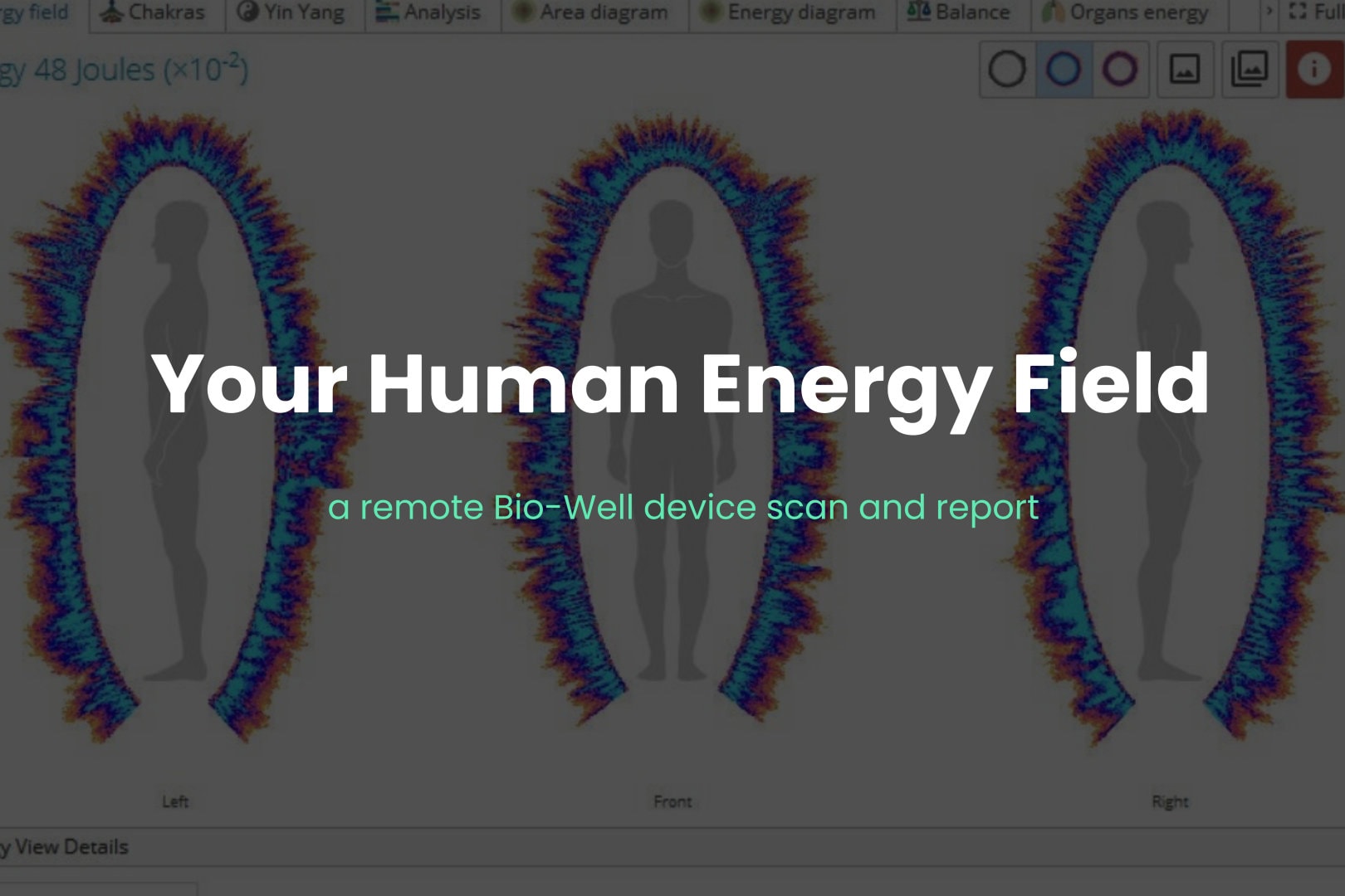 Bio-well Human Energy Field Scan & Report (remote) - Etsy