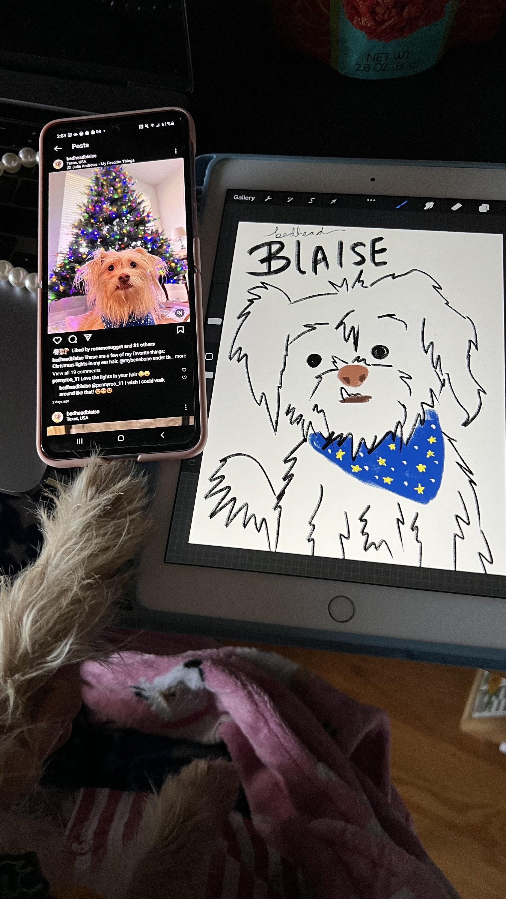 Custom Cursed Pet Portraits by Send Doodz - Etsy