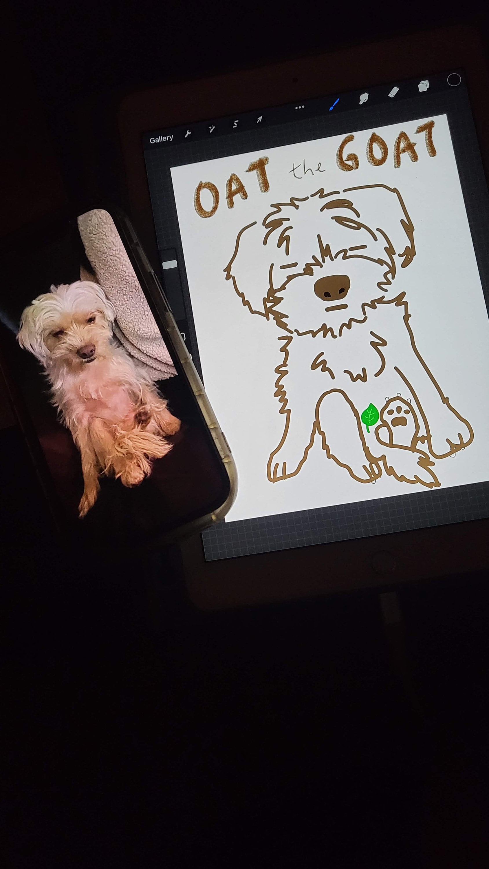 Custom Cursed Pet Portraits by Send Doodz - Etsy