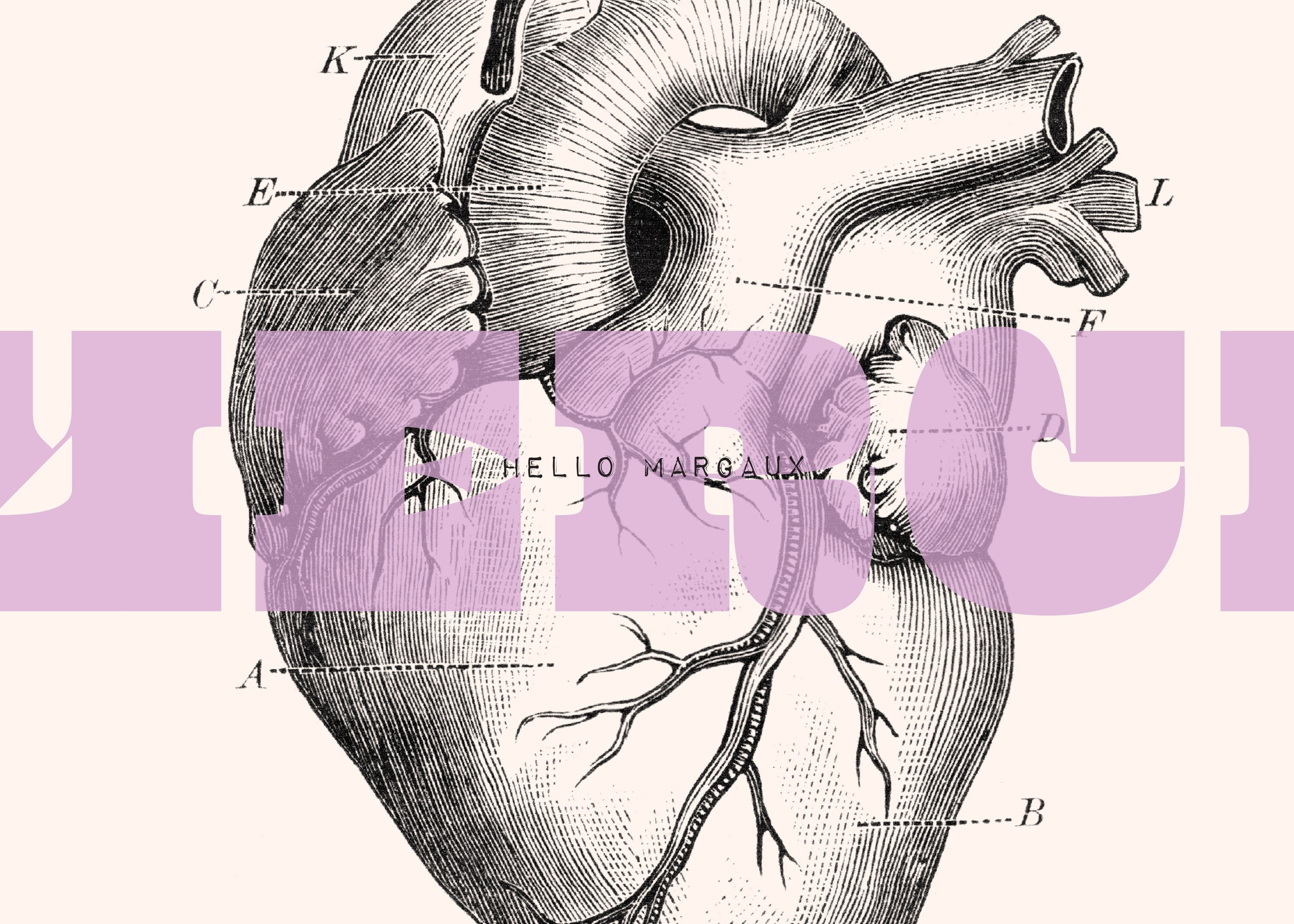 Merci Wall Art Print | French Thank You Quote With Human Heart Anatomy ...