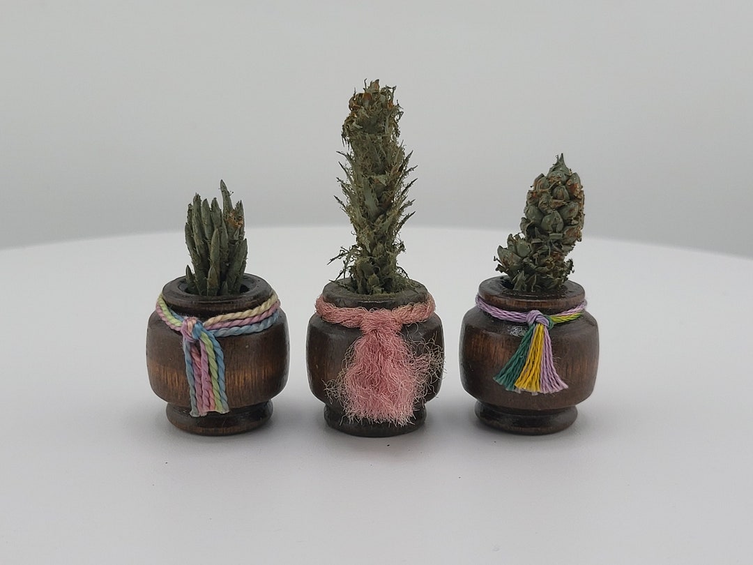 Vintage Miniature Stained Cactus Pot Set - Etsy
