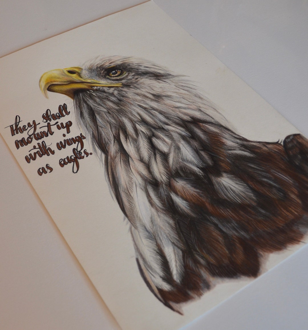 ORIGINAL wings as Eagles Coloured Pencil Eagle Drawing on A3 - Etsy