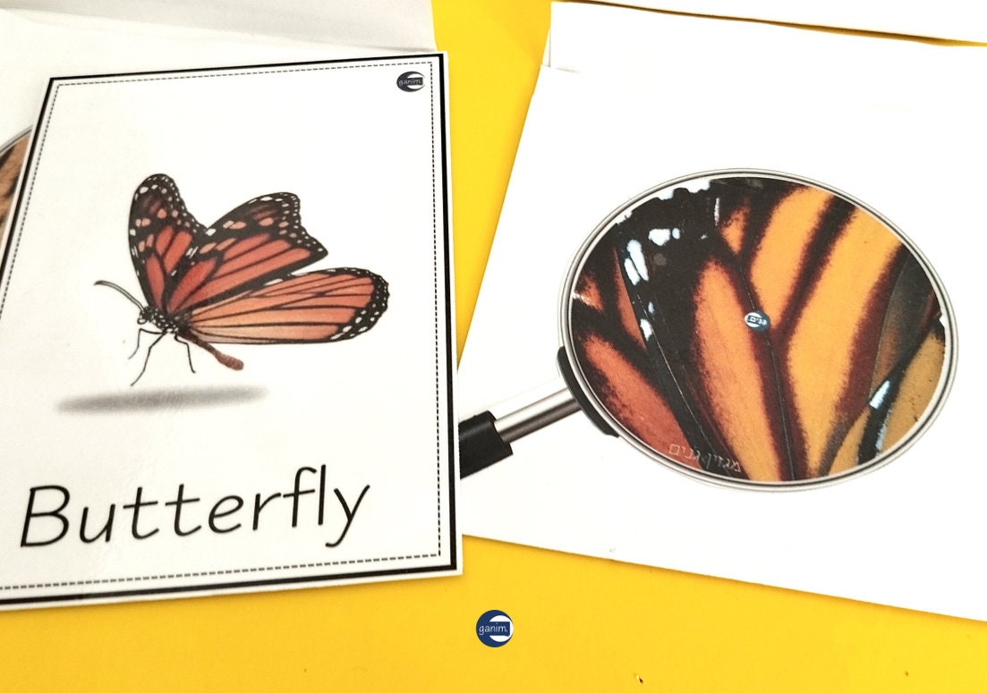 Animal Skin Matching Cards, Educational Preschool Printable Game and ...
