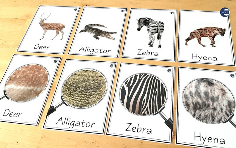 Animal Skin Matching Cards, Educational Preschool Printable Game and ...