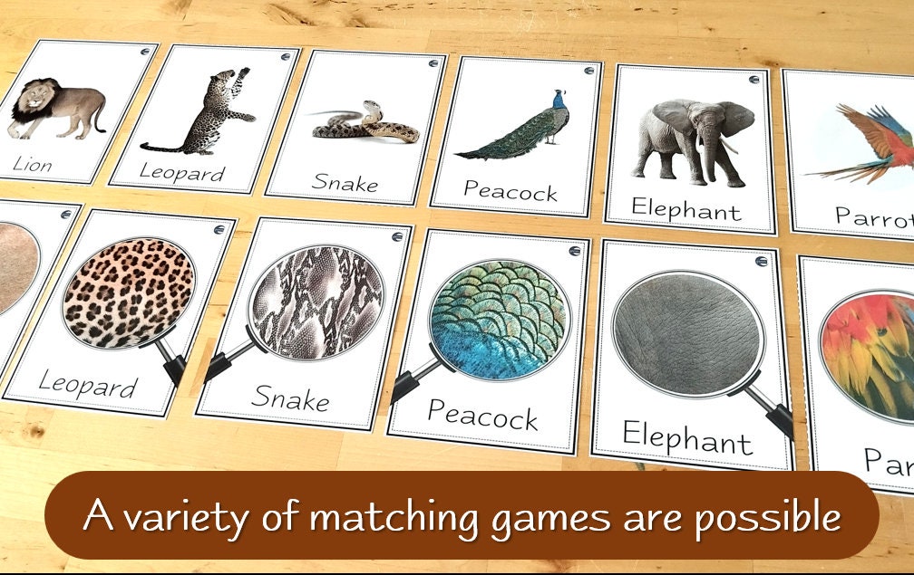 Animal Skin Matching Cards, Educational Preschool Printable Game and ...