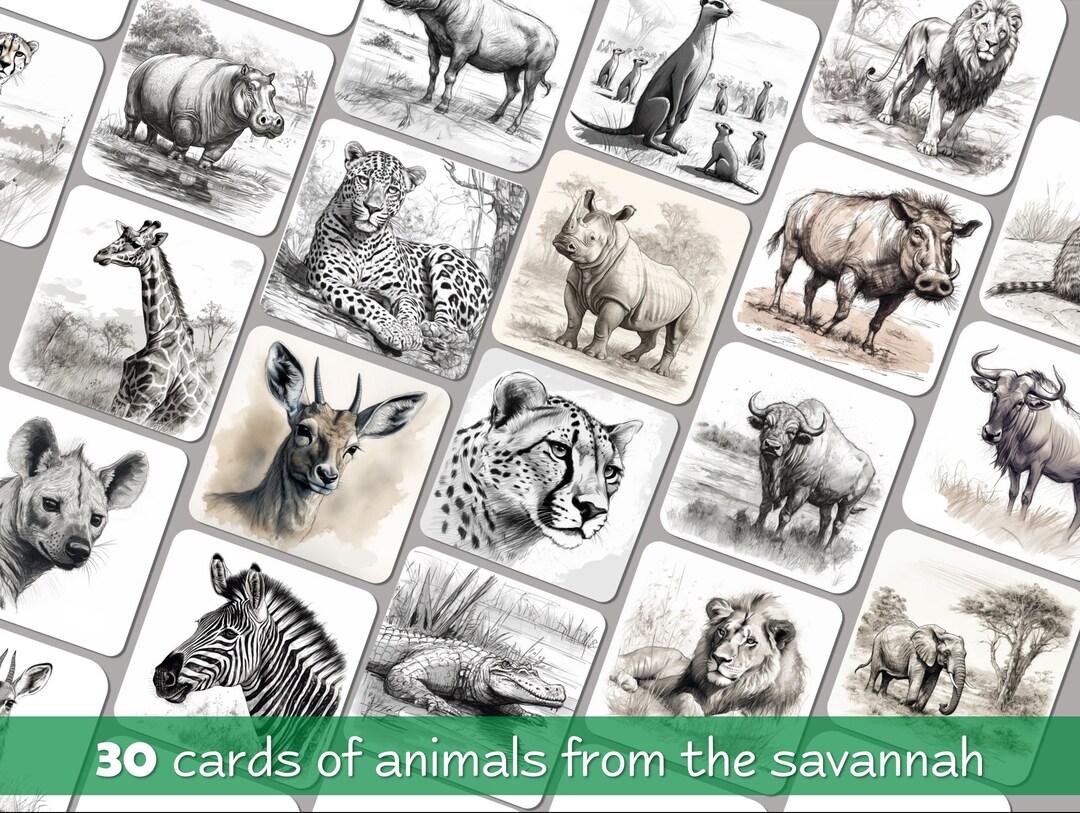 Savannah Animals Matching and Memory Cards, Montessori Education - Etsy