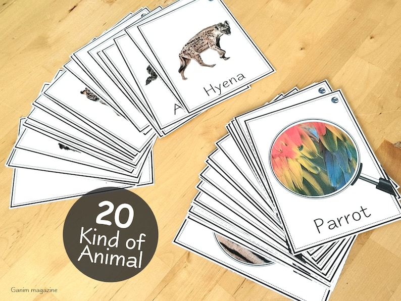 Animal Skin Matching Cards, Educational Preschool Printable Game and ...