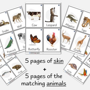 Animal Skin Matching Cards, Educational Preschool Printable Game and ...
