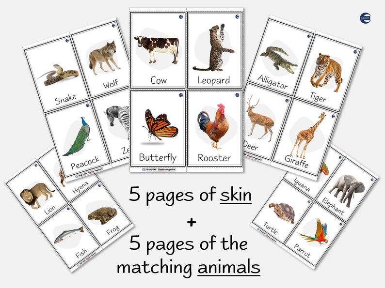 Animal Skin Matching Cards, Educational Preschool Printable Game and ...