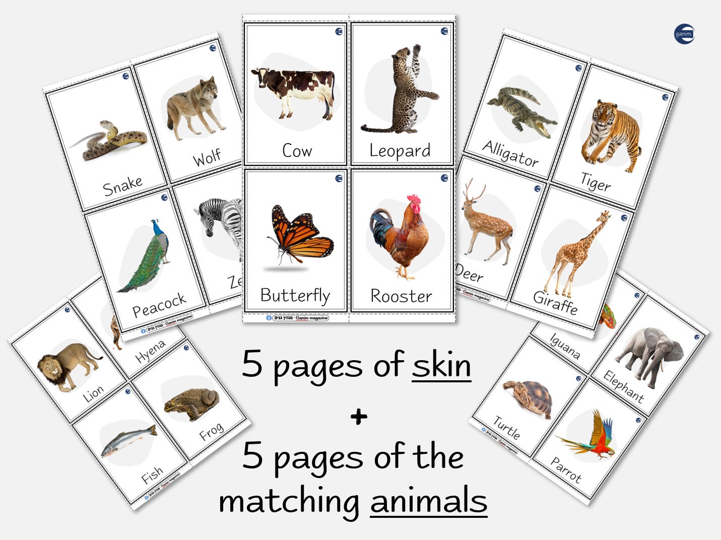 Animal Skin Matching Cards, Educational Preschool Printable Game and ...