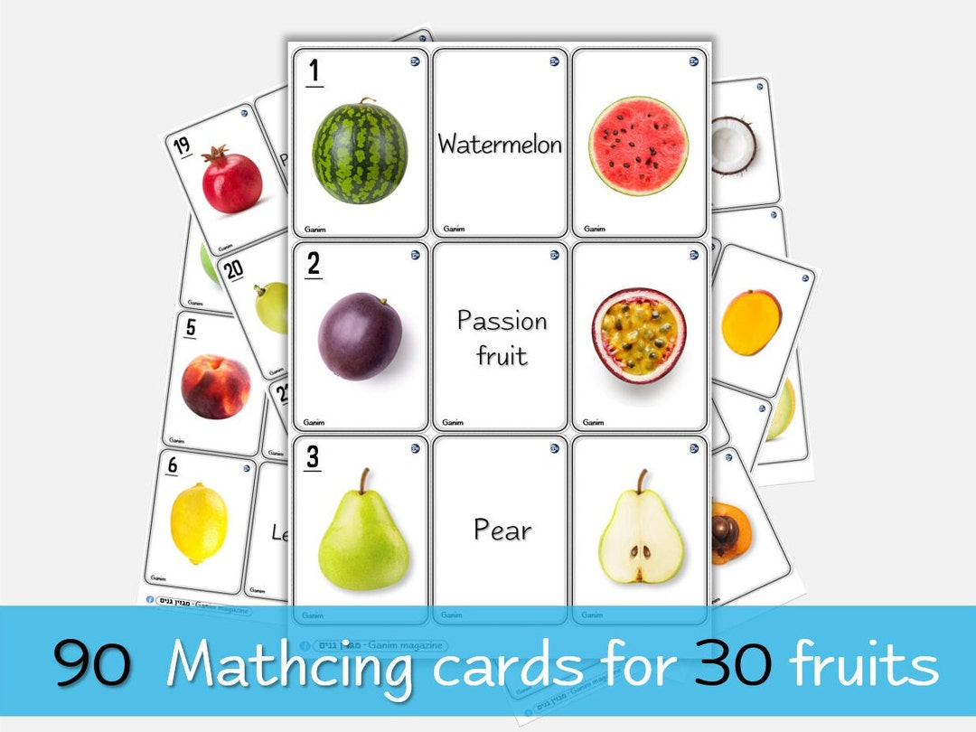Fruits Matching Cards. Preschool Learning. Real Photos. - Etsy