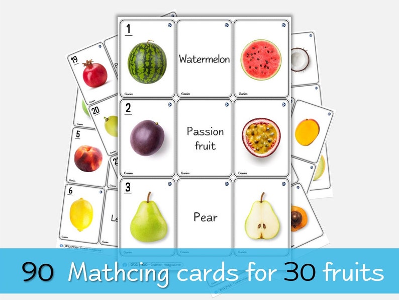 Fruits Matching Cards. Preschool Learning. Real Photos. - Etsy