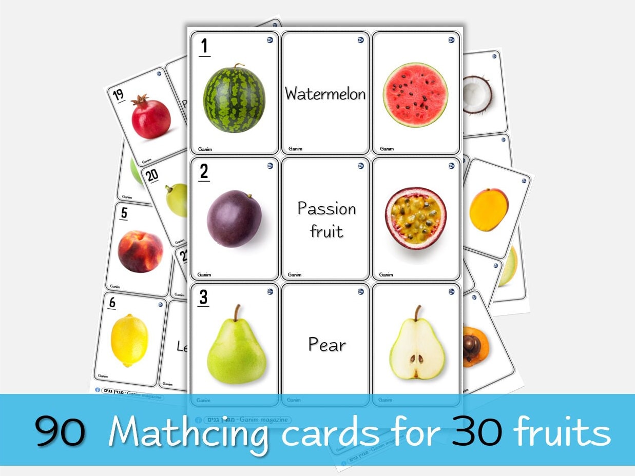 Fruits Matching Cards. Preschool Learning. Real Photos. - Etsy