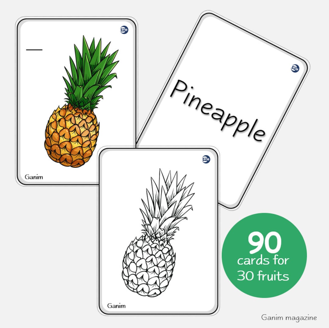 Fruits Matching Cards. Preschool Learning. Illustrated Fruits. - Etsy