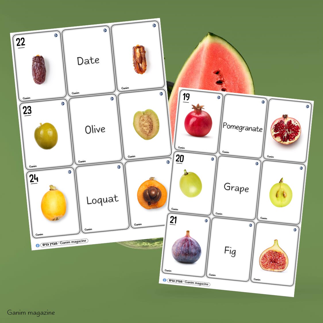 Fruits Matching Cards. Preschool Learning. Real Photos. - Etsy