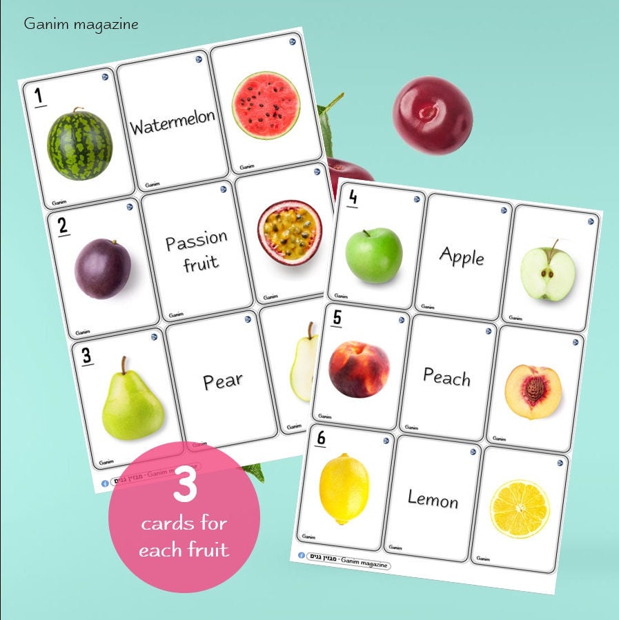 Fruits Matching Cards. Preschool Learning. Real Photos. - Etsy
