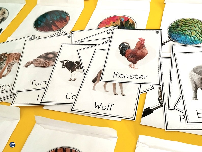 Animal Skin Matching Cards, Educational Preschool Printable Game and ...