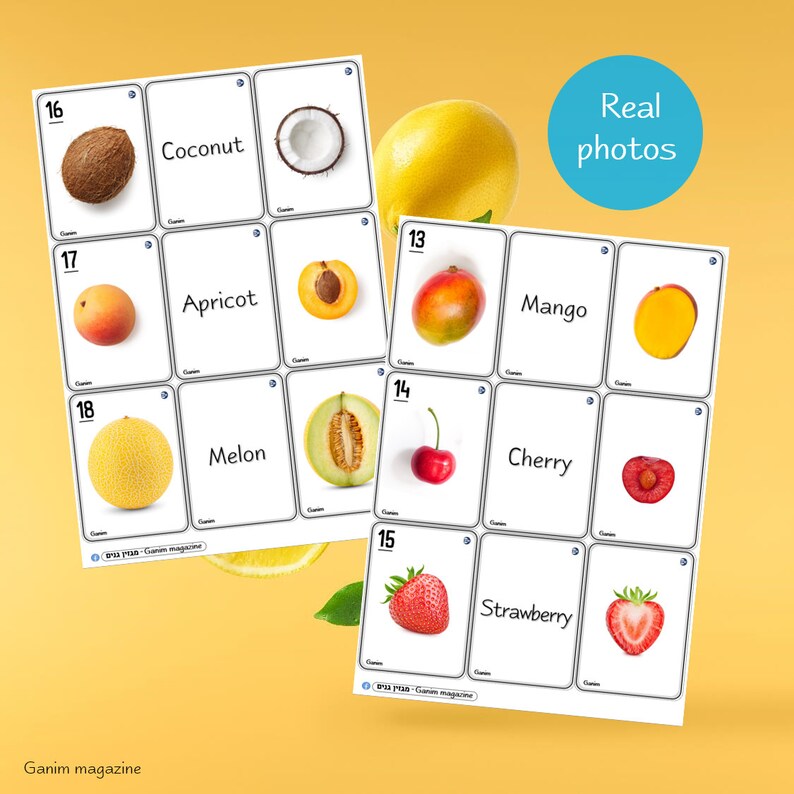 Fruits Matching Cards. Preschool Learning. Real Photos. - Etsy
