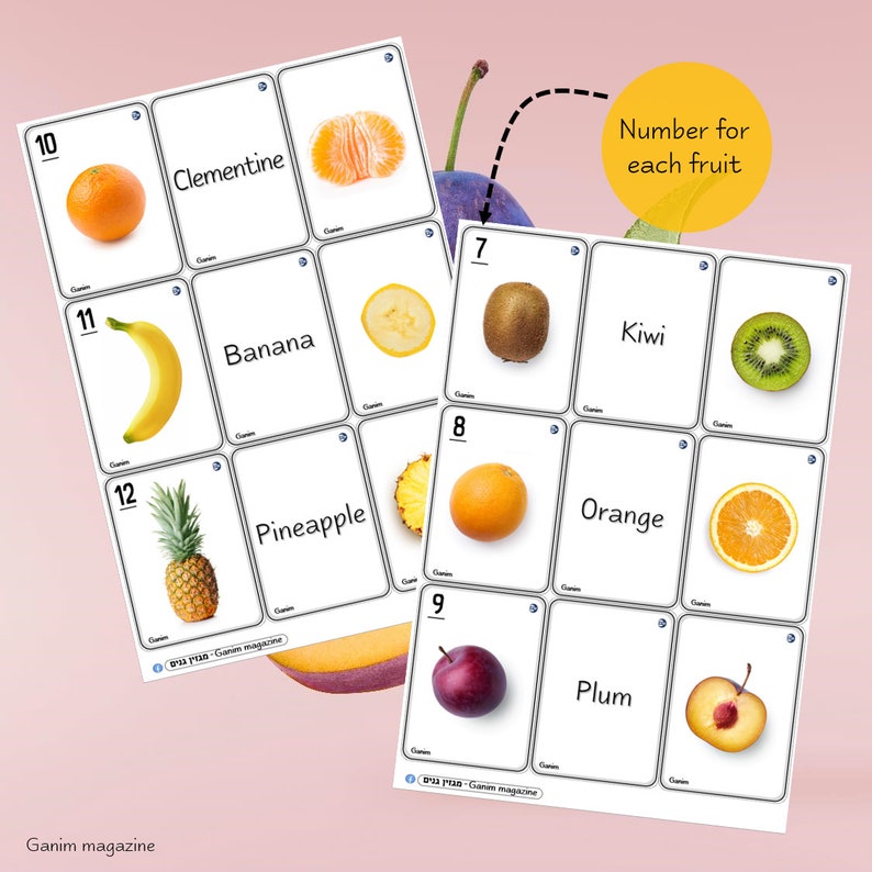 Fruits Matching Cards. Preschool Learning. Real Photos. - Etsy