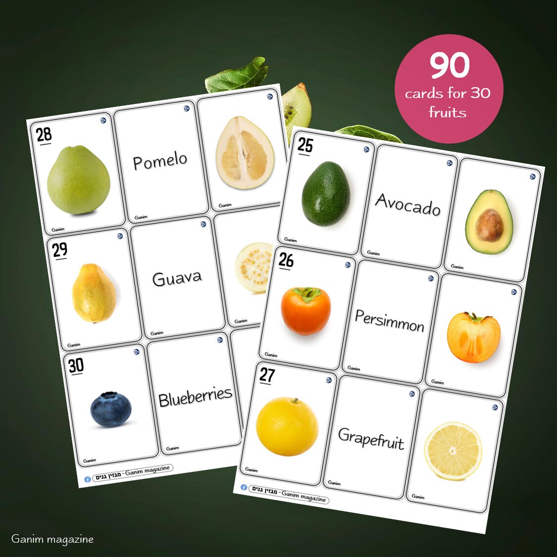 Fruits Matching Cards. Preschool Learning. Real Photos. - Etsy