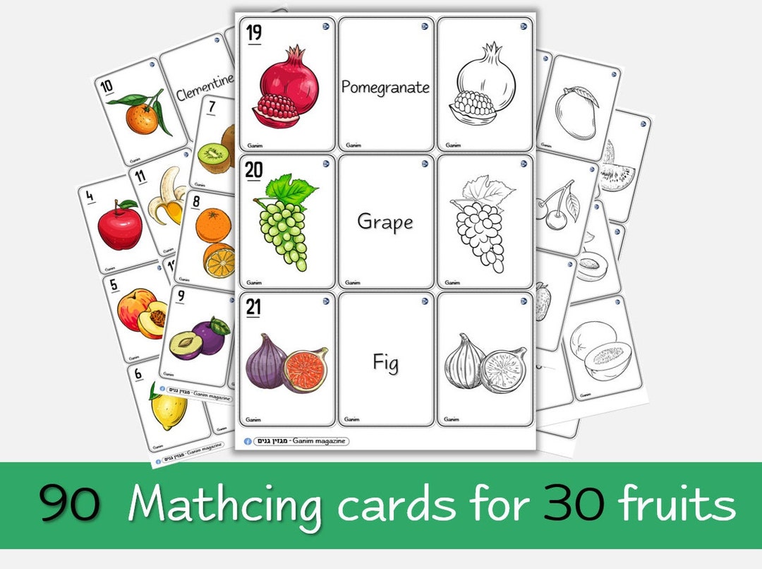 Fruits Matching Cards. Preschool Learning. Illustrated Fruits. - Etsy