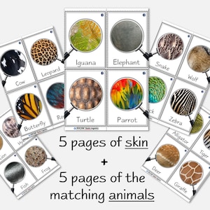 Animal Skin Matching Cards, Educational Preschool Printable Game and ...