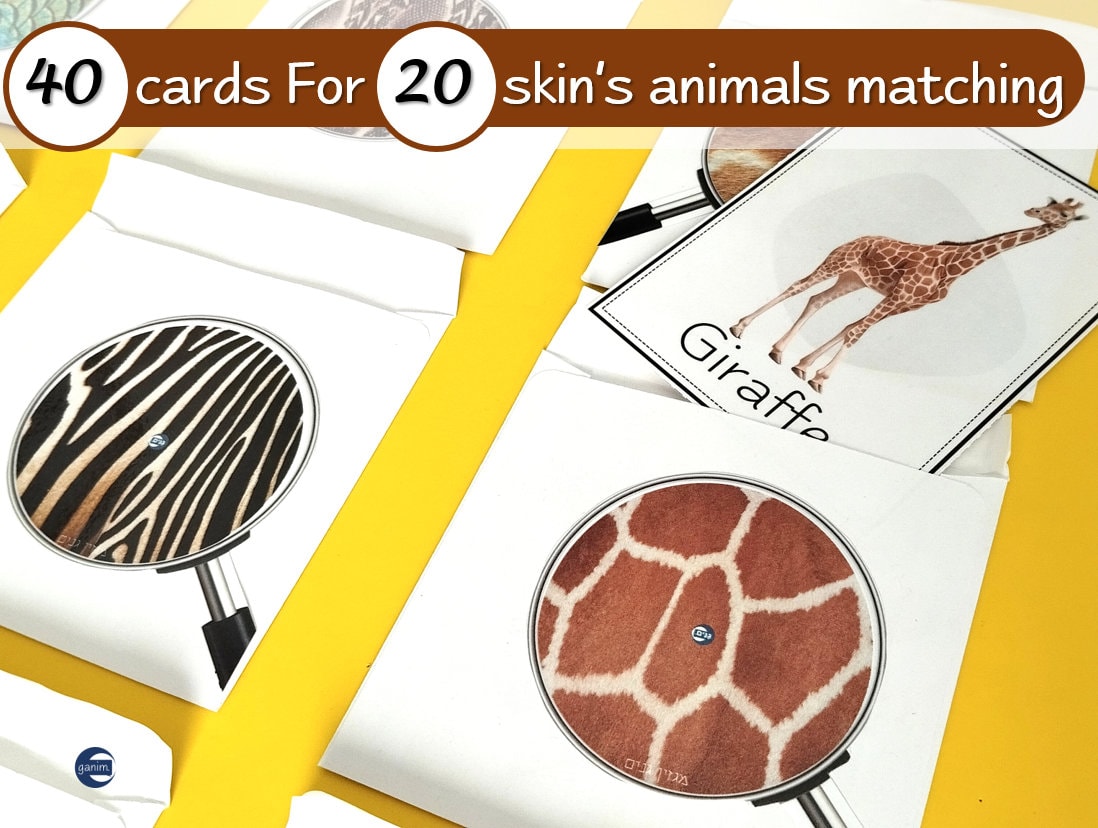 Animal Skin Matching Cards, Educational Preschool Printable Game and ...