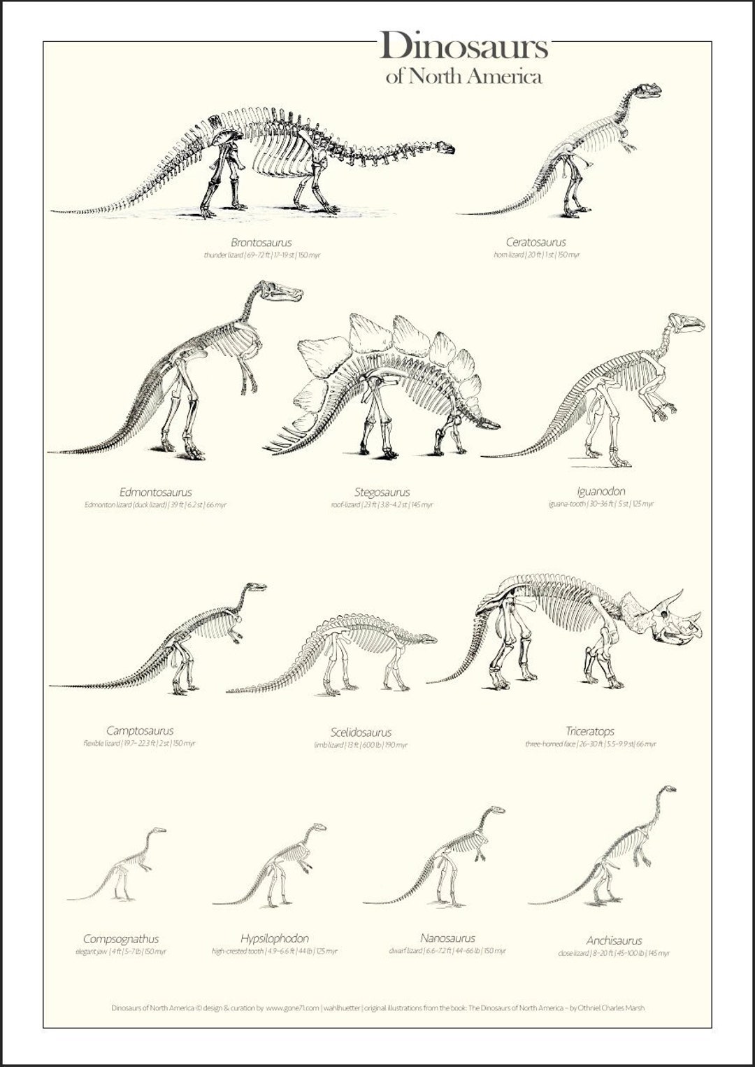Dinosaurs of North America | Poster | Fossil Chart (triceratops ...