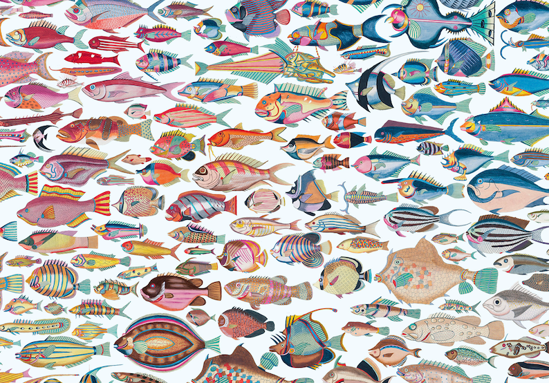 All the Fantastic Fish | Poster - Etsy