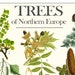 Trees of Northern Europe - Etsy