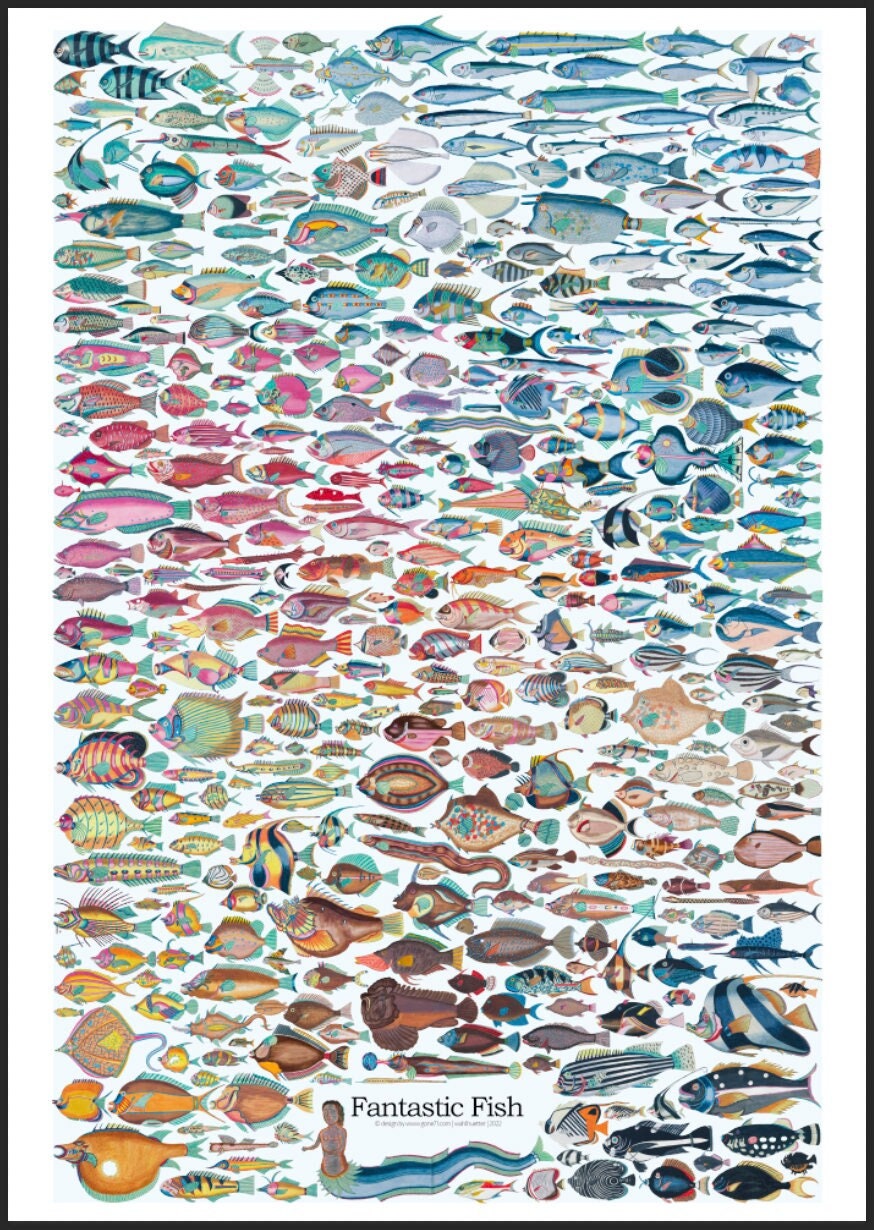 All the Fantastic Fish | Poster - Etsy