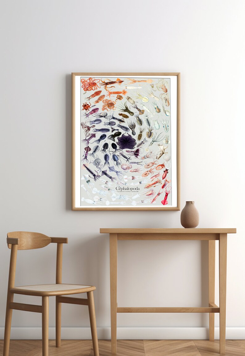 Cephalopoda (octopus) | Digital Poster | high Resolution Download - Etsy