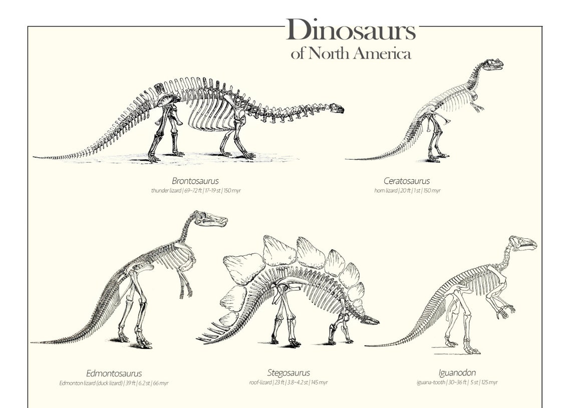 Dinosaurs of North America | Poster | Fossil Chart (triceratops ...