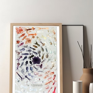 Cephalopoda (octopus) | Digital Poster | high Resolution Download - Etsy