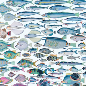 All the Fantastic Fish | Poster - Etsy