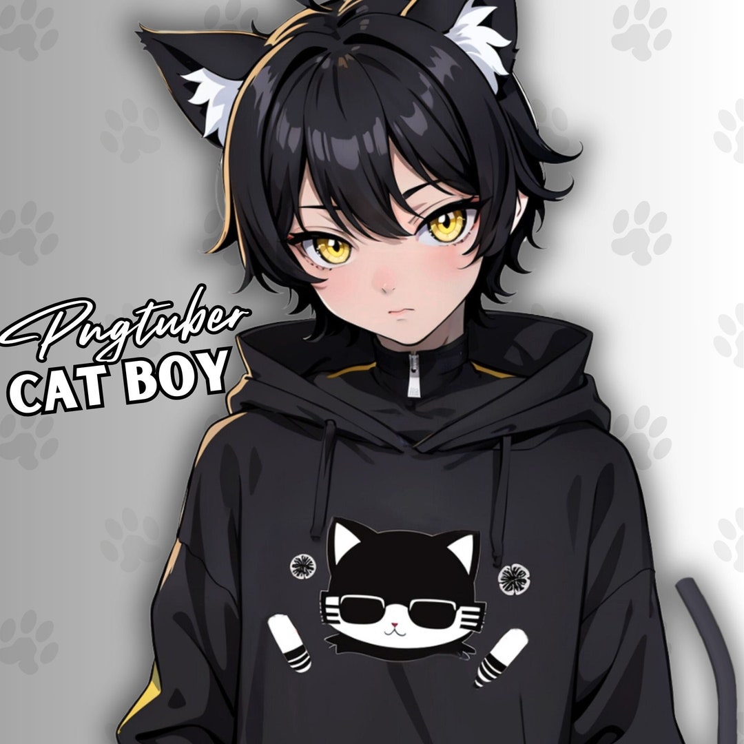 Hoodie Cat Boy PNGTUBER | Premade Male Model With Dark Hair for Vtubers ...
