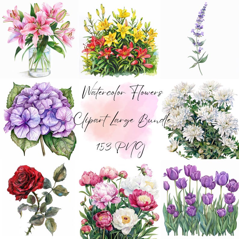 Watercolor Flowers Clipart Png Bundle,red Rose Png Bundle,floral Art ...