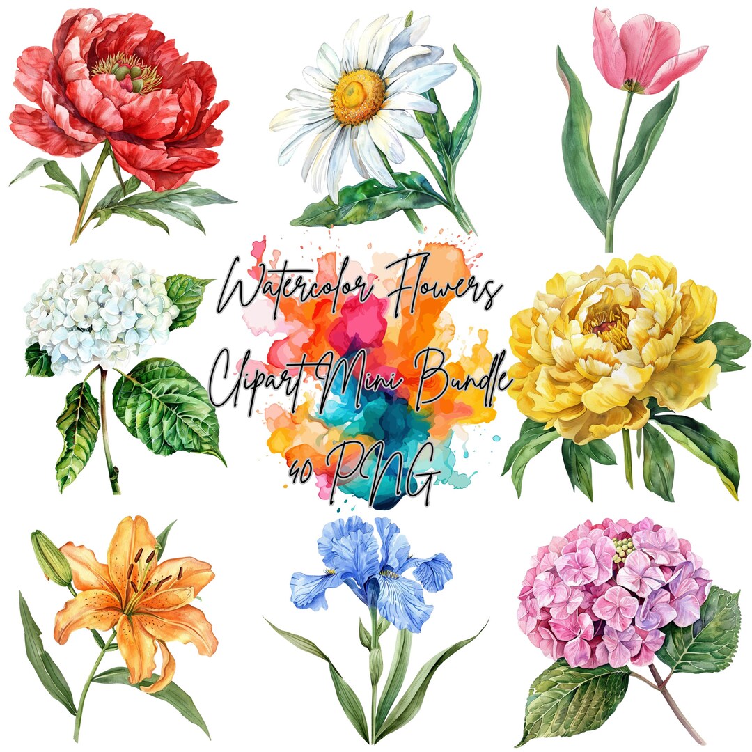 Watercolor Flowers Clipart Bundle,red Rose Png Bundle,floral Art Papers ...
