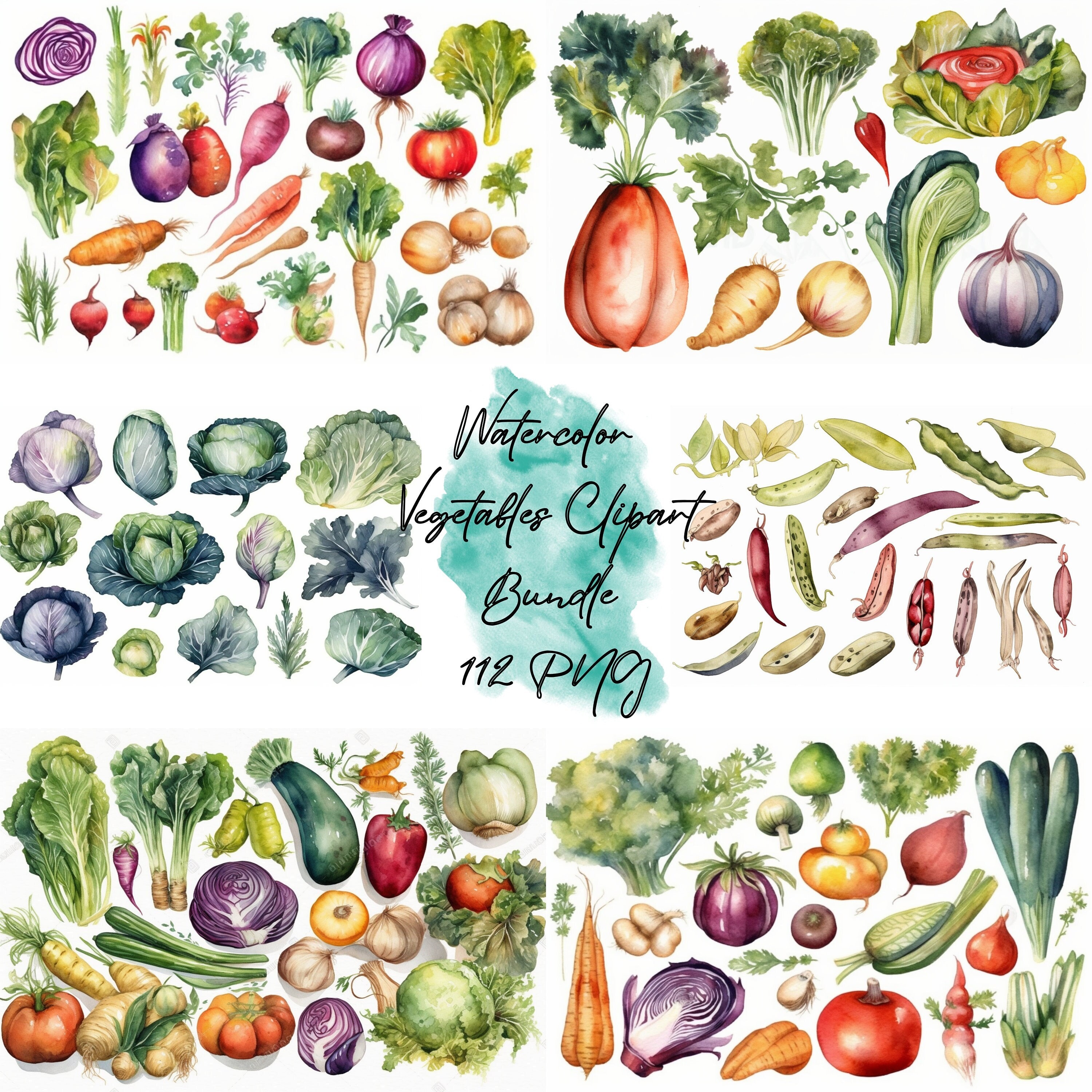 Watercolor Vegetables Clipart Bundle,garden Vegetable Png,healthy Food ...