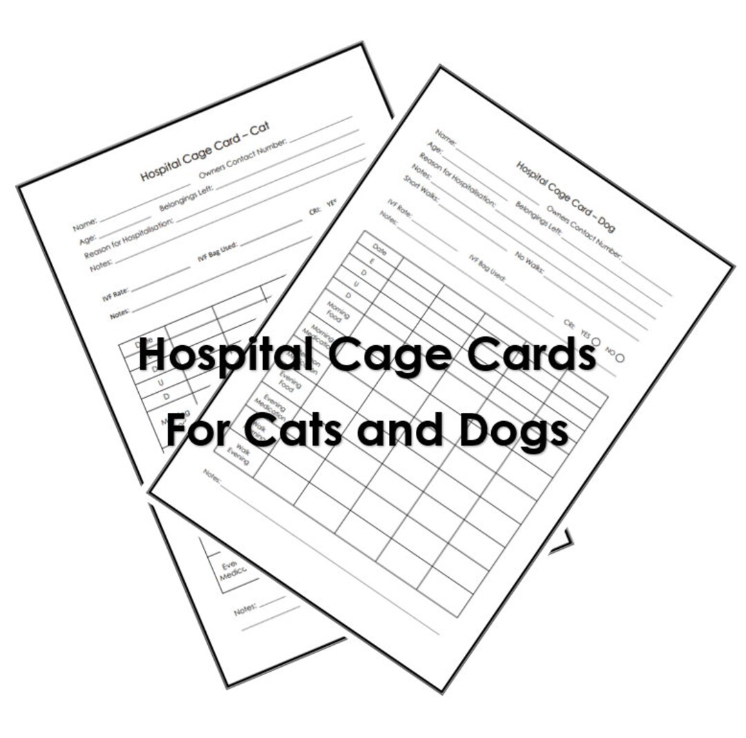 Veterinary Cage Cards for Dogs and Cats - Etsy