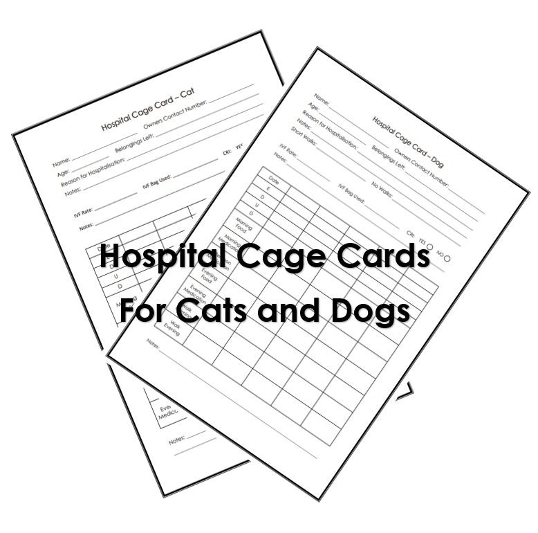 Veterinary Cage Cards for Dogs and Cats - Etsy