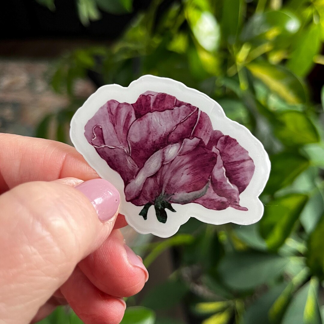Sweet Pea Flower Sticker | Die Cut Glossy Vinyl Waterproof Stickers - Etsy