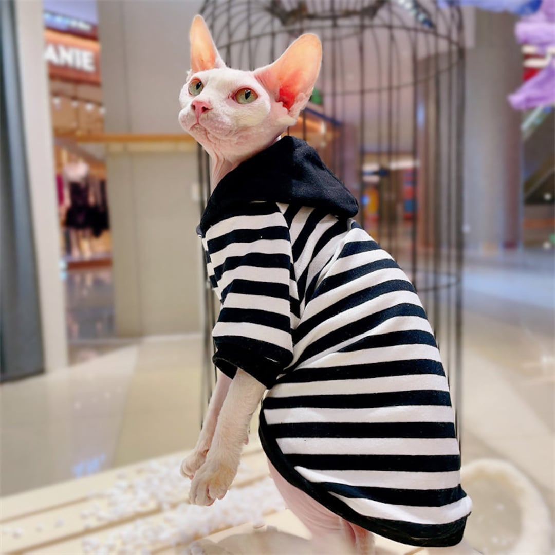 Personalized Sphynx Cat Clothes Sphynx Cat Hoodie Sphynx - Etsy