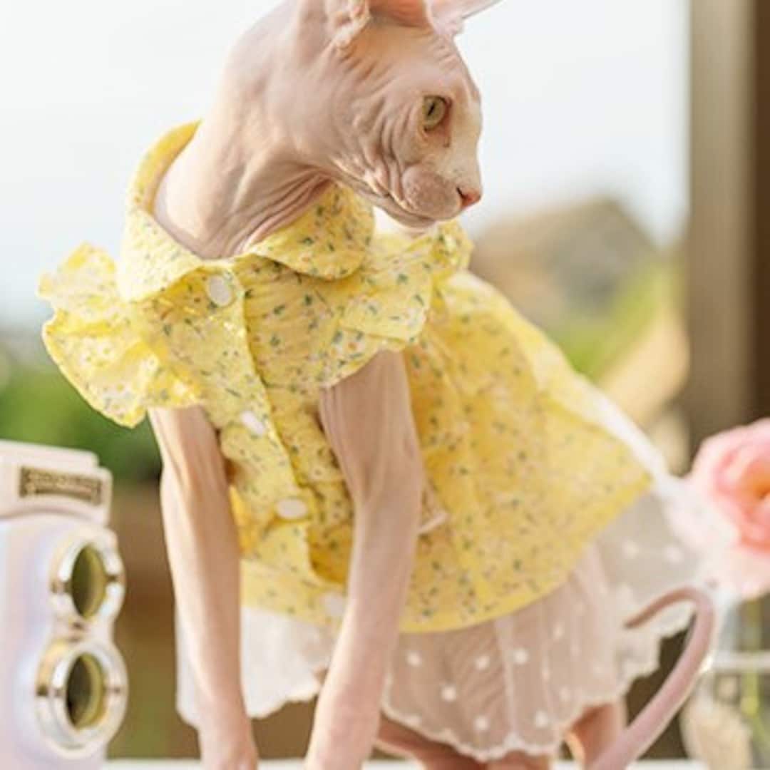 Sphynx Cat Dress for Cat Sphynx Cat Clothes for Cats Custom - Etsy