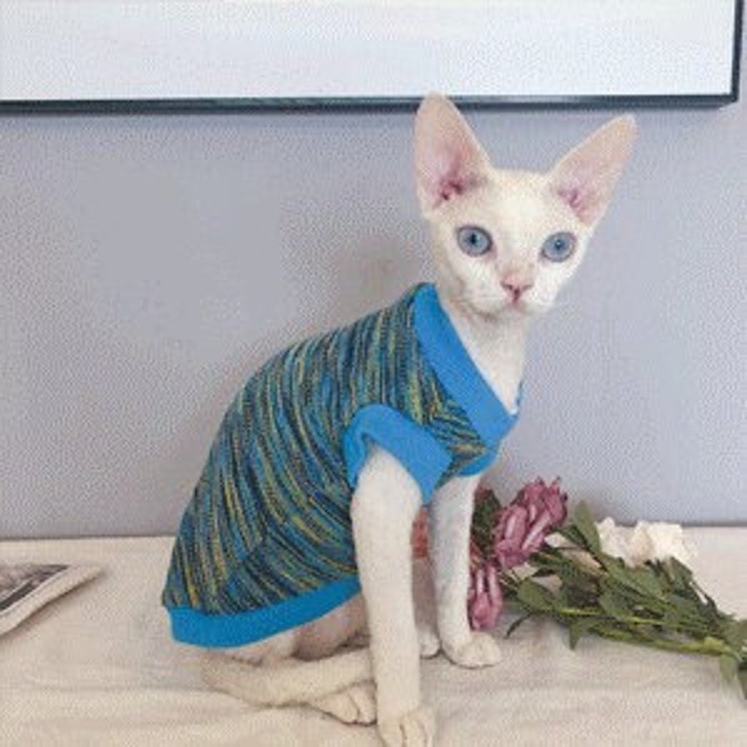 Personalized Sphynx Cat Sweater Knitted Sphynx Sweaters Custom Name ...