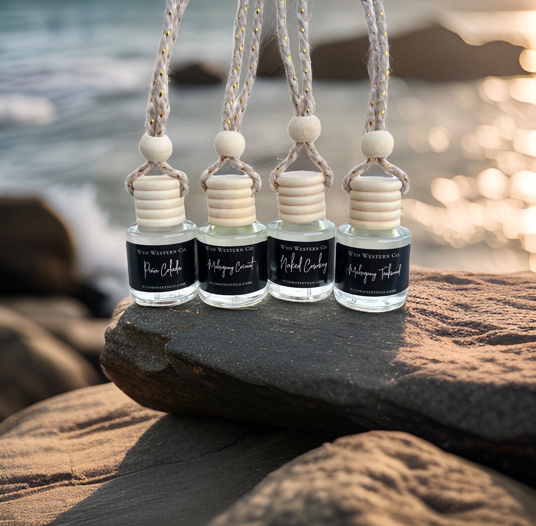 SPRING / SUMMER HANGING Oil Car Diffuser, Oil Diffusers, Scentsy, Top Seller, Gifts, Air ...