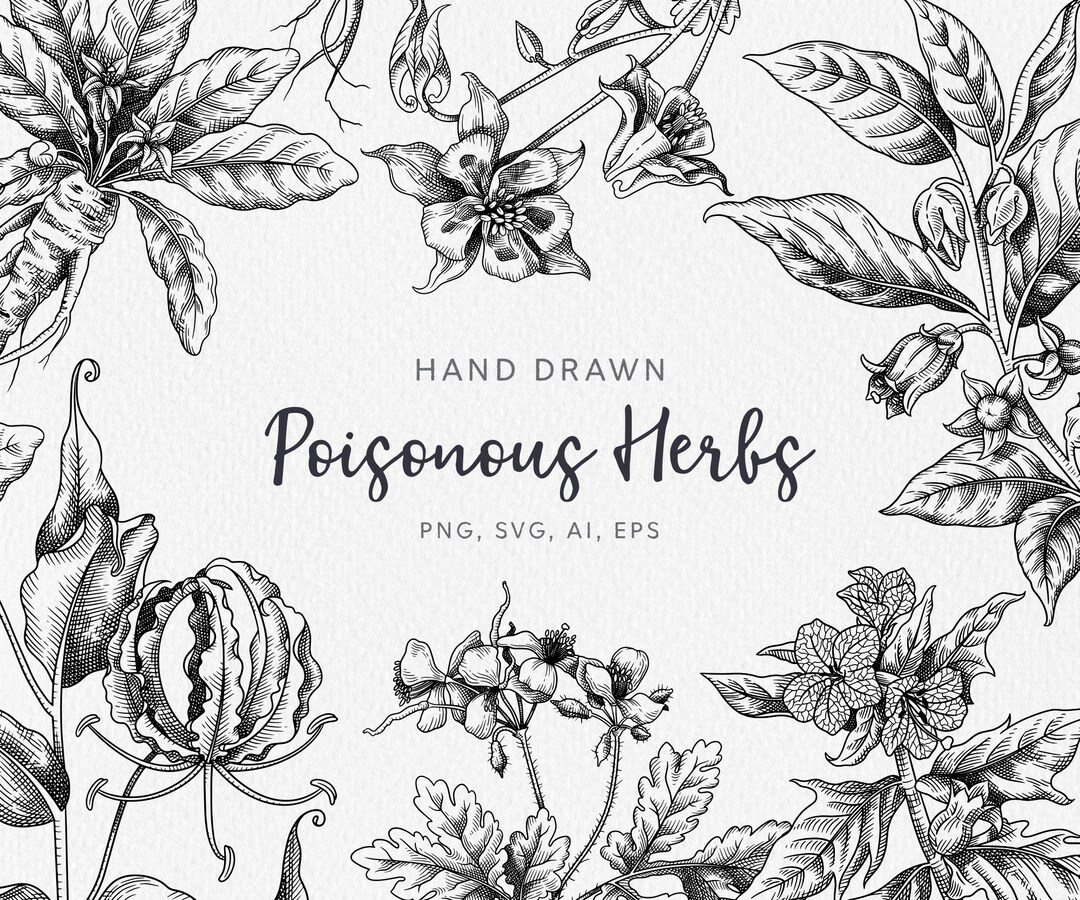 Poisonous Plants Vector Illustrations / Apothecary Svg / Poisonous ...