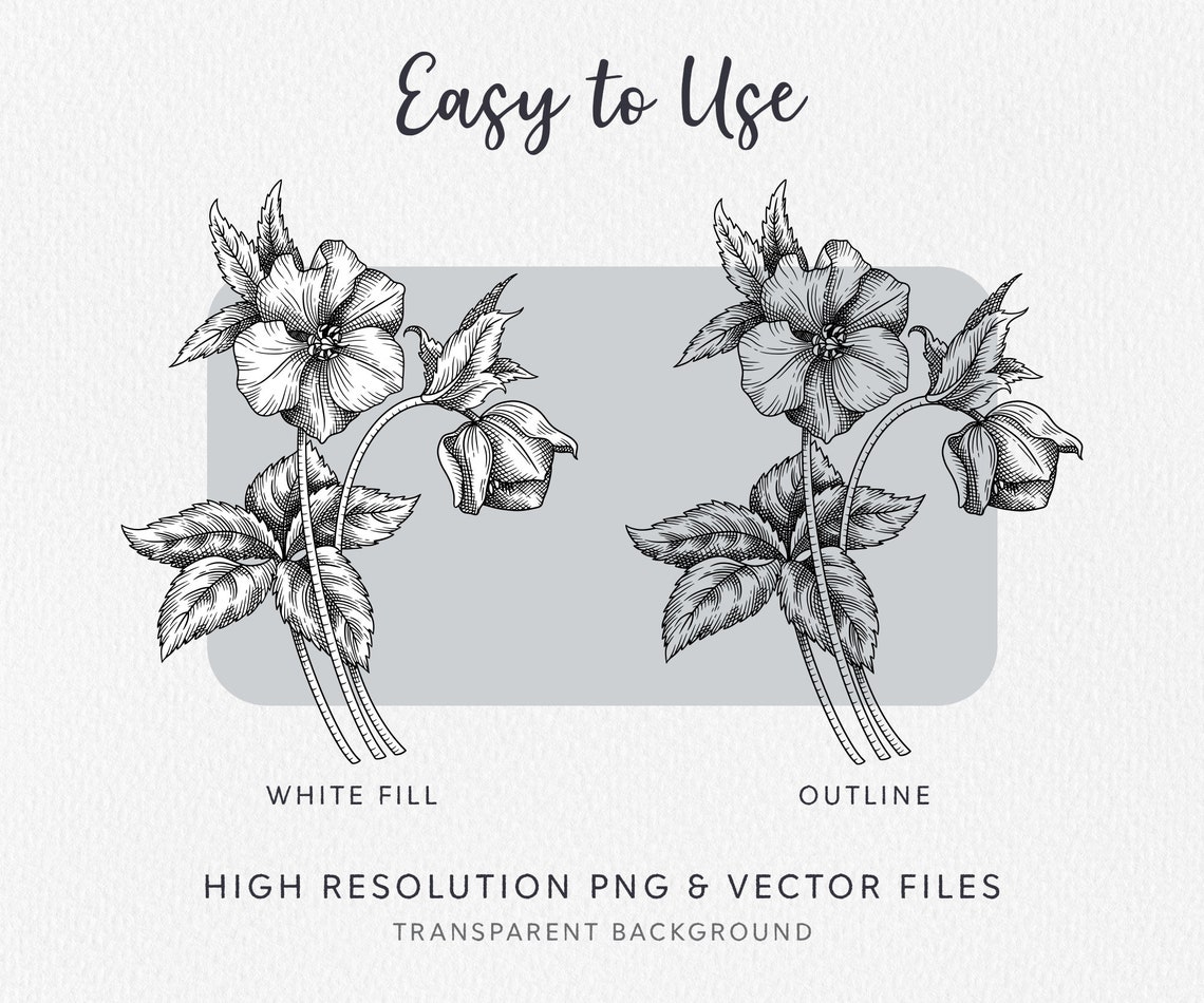 Poisonous Plants Art Vector Illustrations / Apothecary Svg / Poisonous ...