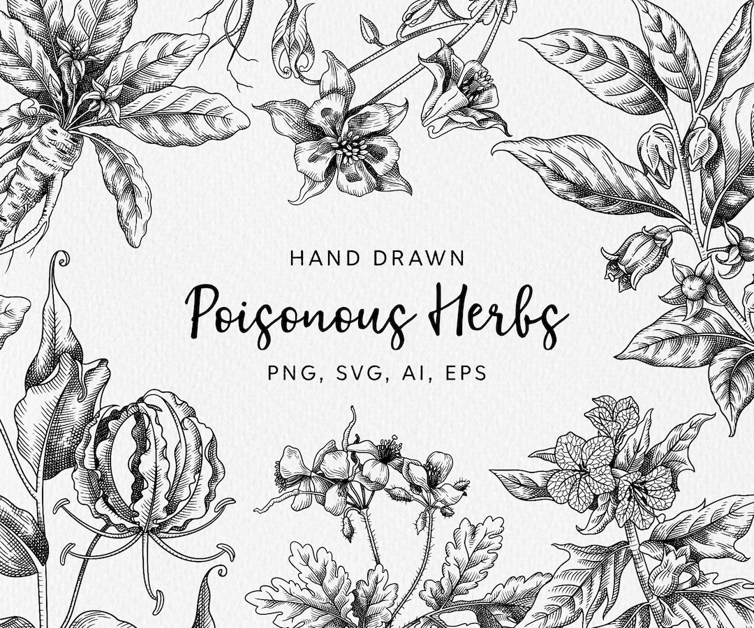Poisonous Plants Art - Vector Illustrations / Apothecary Svg ...
